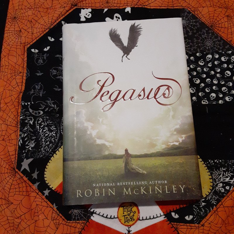 Pegasus by Robin McKinley, Hardcover | Pangobooks