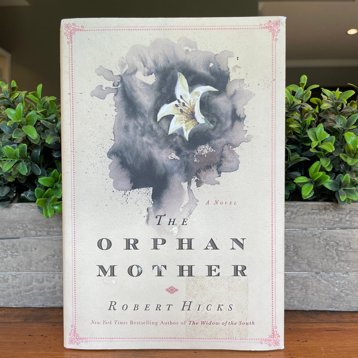 The Orphan Mother by Robert Hicks