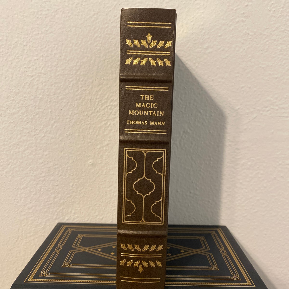 The Magic Mountain by Thomas Mann, Hardcover | Pangobooks