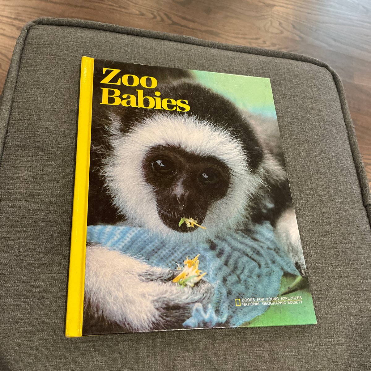 Zoo Babies by Donna K. Grosvenor
