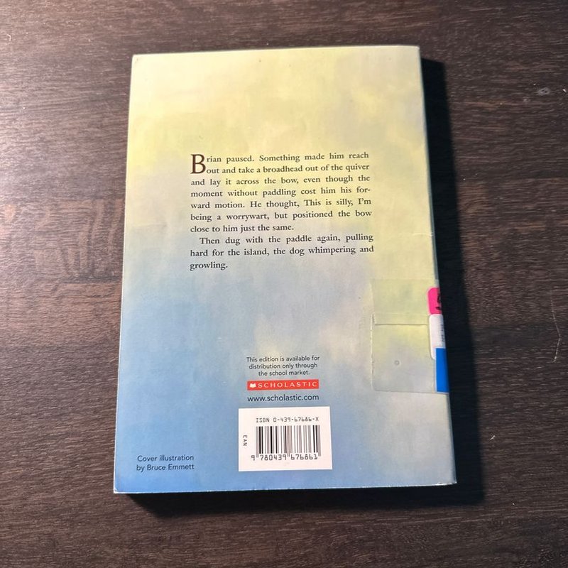 Brian’s Hunt by Gary Paulsen, Paperback | Pangobooks