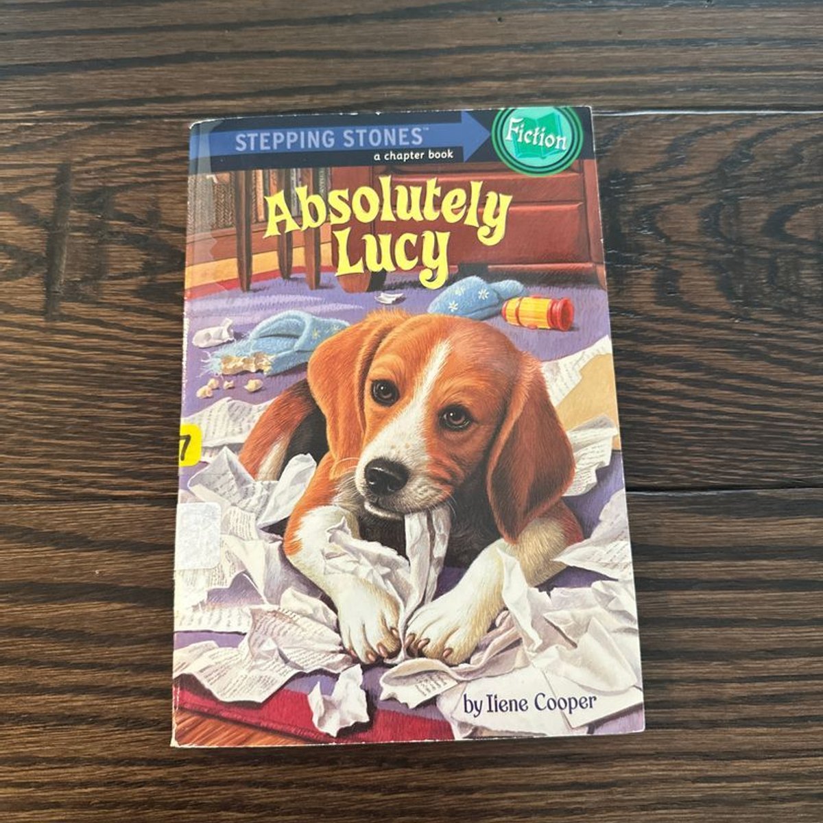 Absolutely Lucy #1: Absolutely Lucy by Ilene Cooper