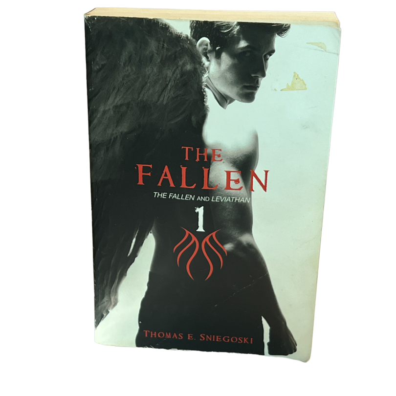 The Fallen 1