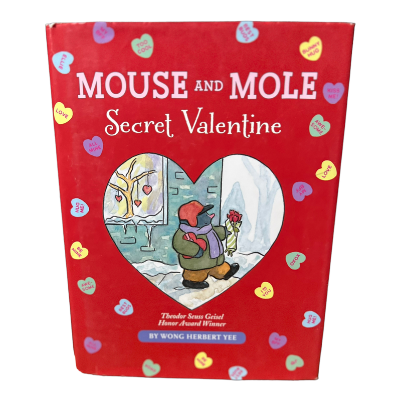 Mouse and Mole: Secret Valentine