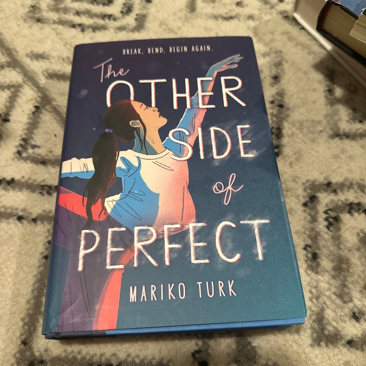 The Other Side of Perfect by Mariko Turk
