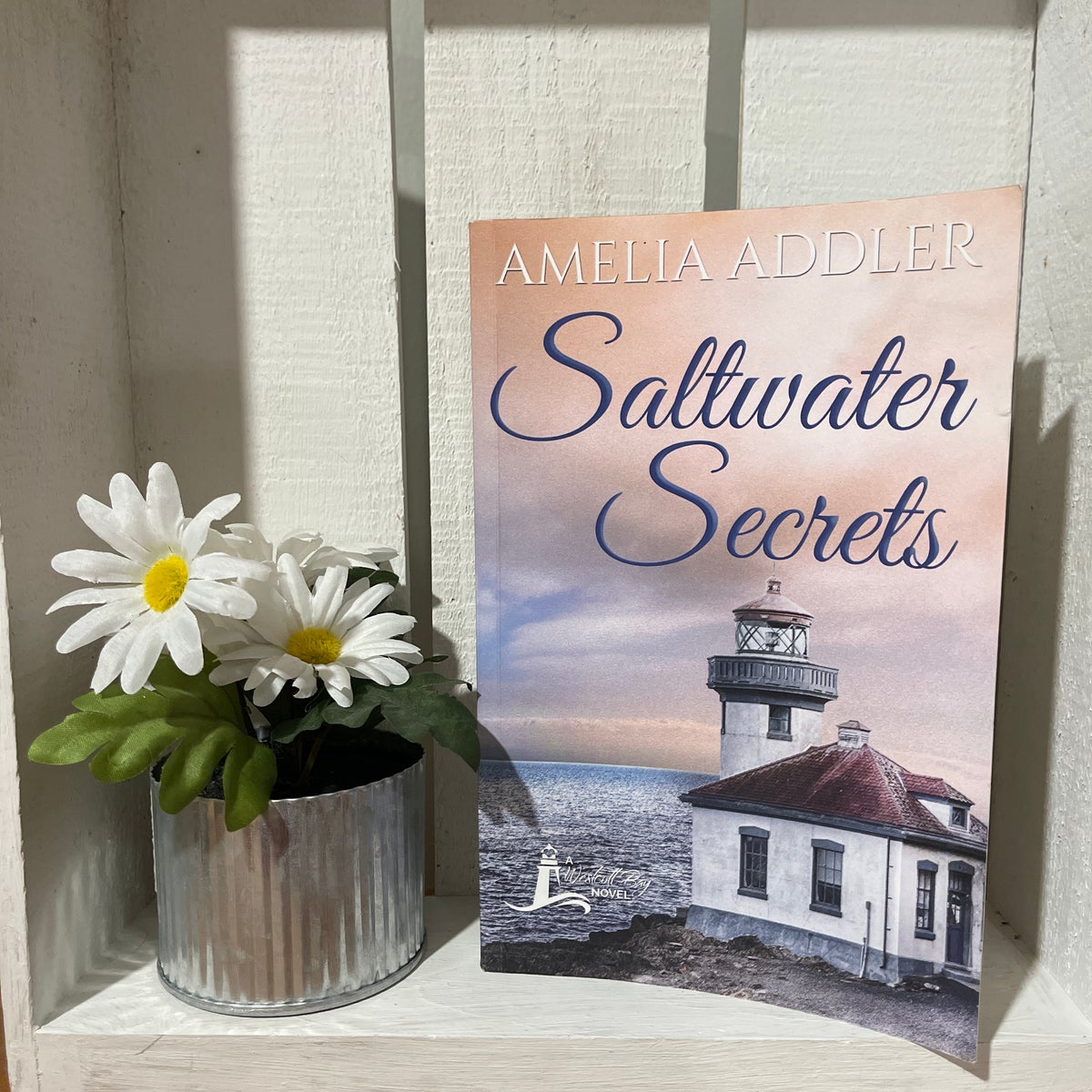 Saltwater Secrets by Amelia Addler
