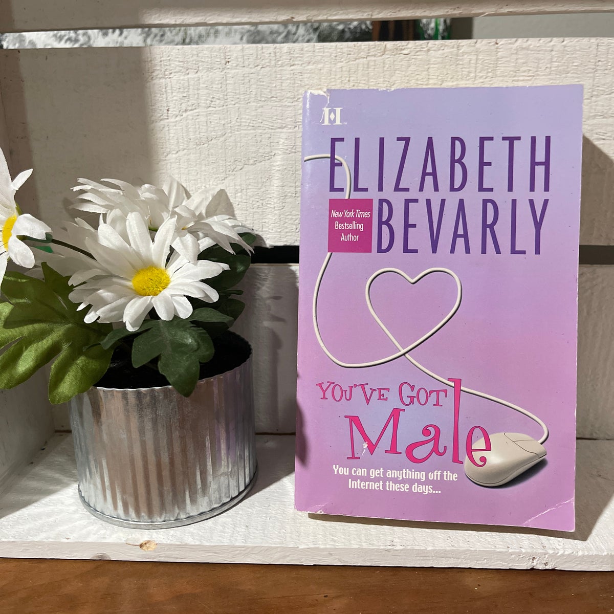 You've Got Male by Elizabeth Bevarly, Paperback | Pangobooks