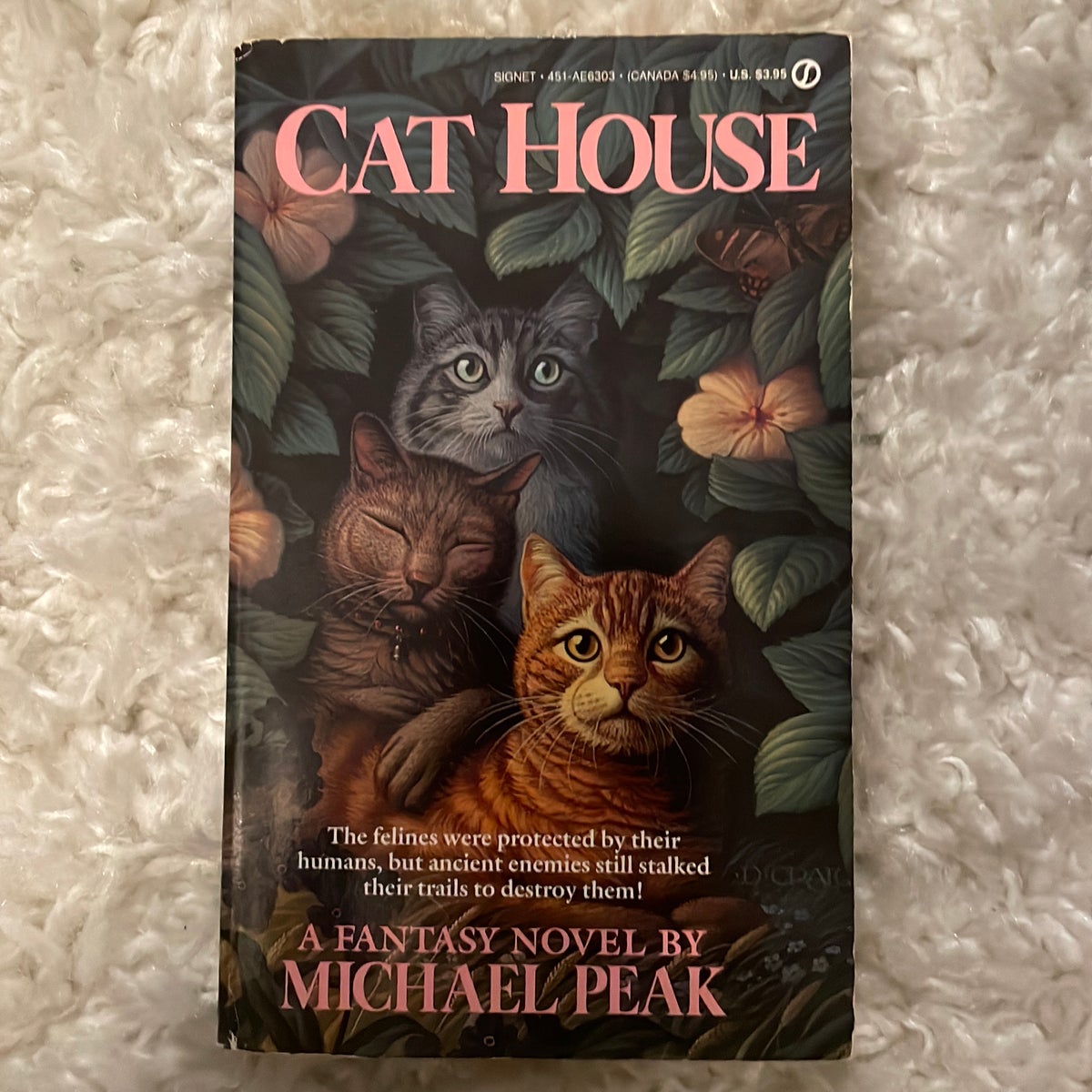 Cat House by Michael Peak