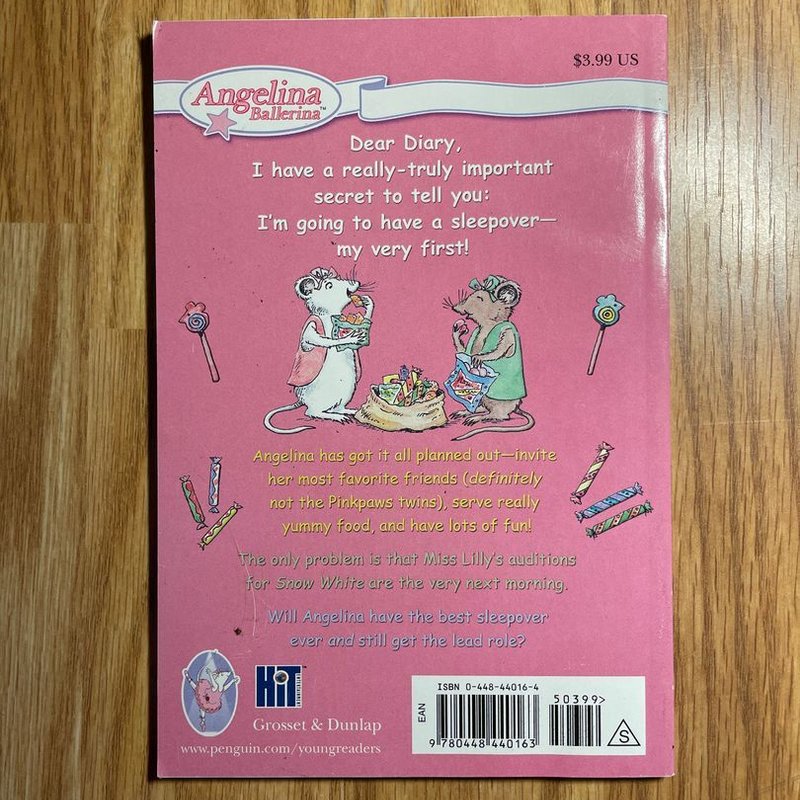 The Best Sleepover Ever! by Katharine Holabird