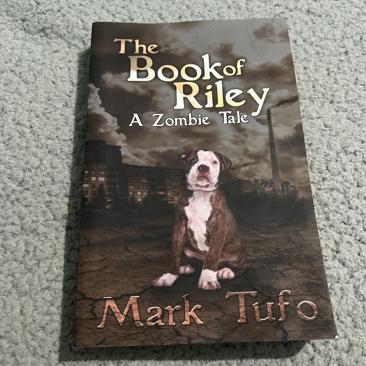 The Book of Riley a Zombie Tale by Mark Tufo