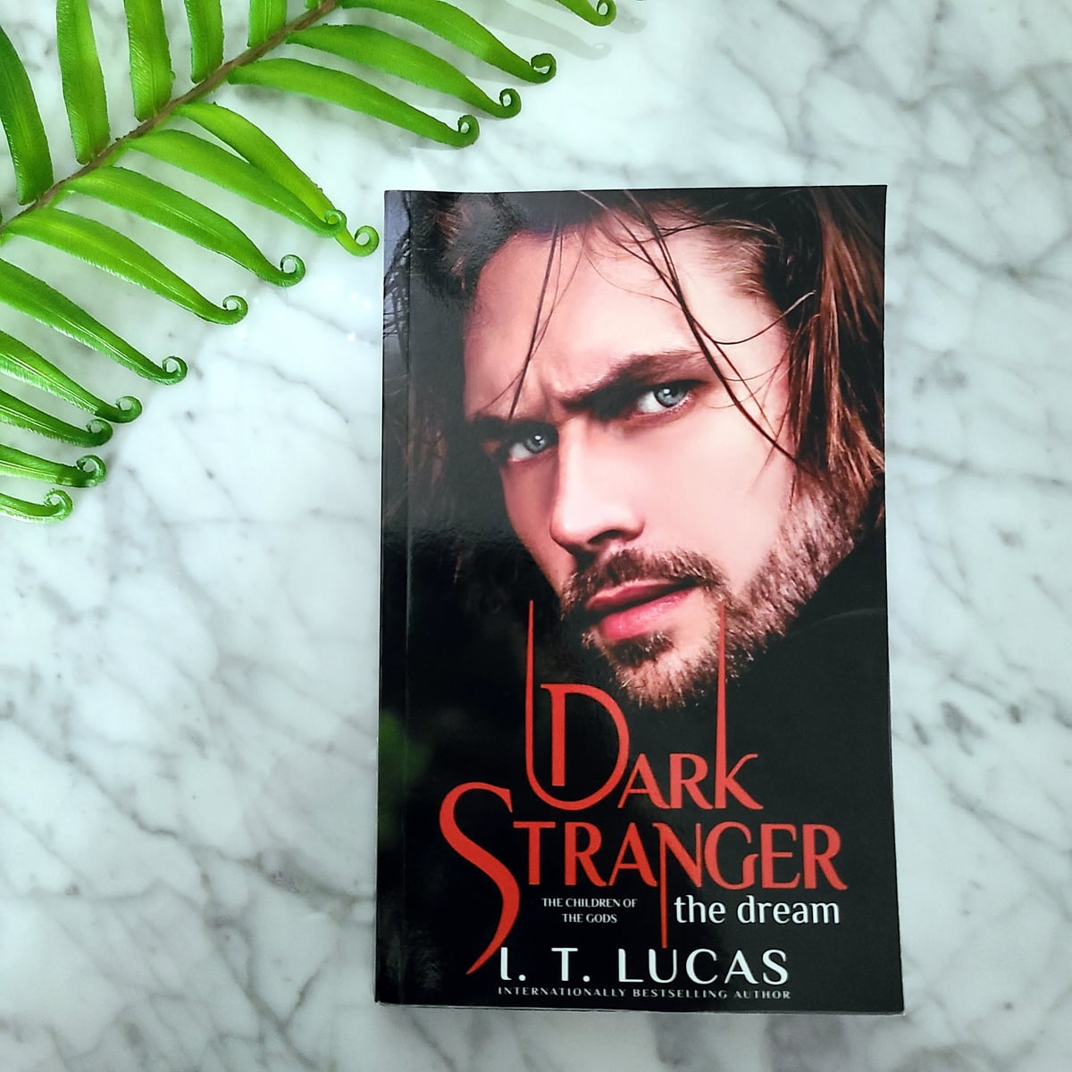 Dark Stranger the Dream by I. T. Lucas, Paperback | Pangobooks