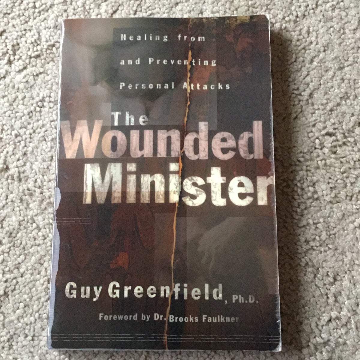 The Wounded Minister by Guy Greenfield, Brooks Faulkner