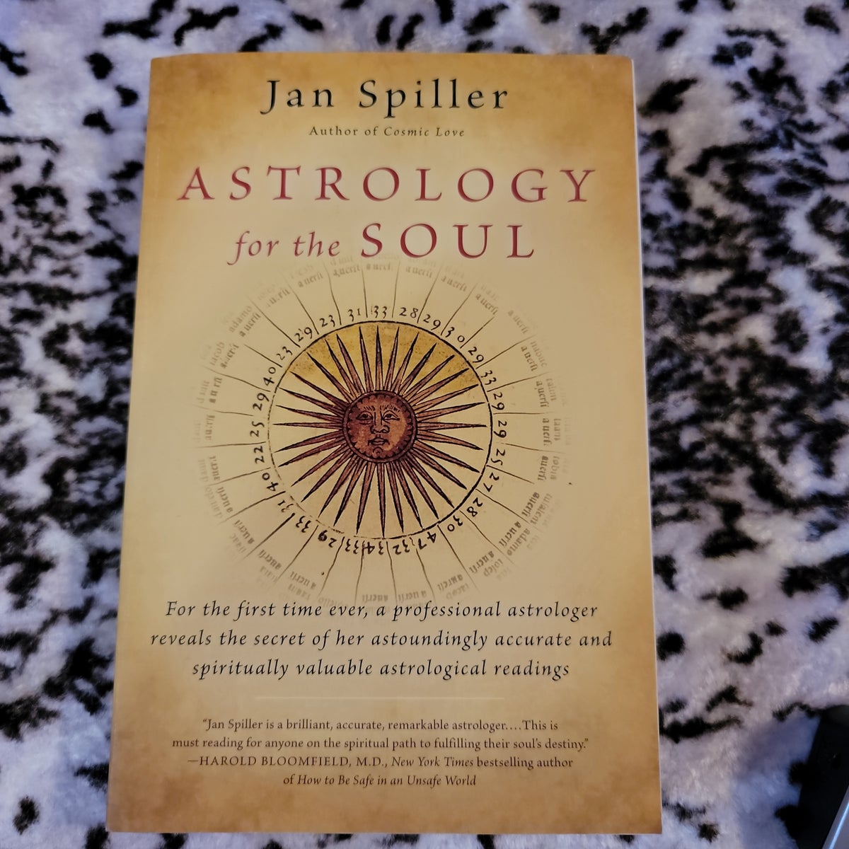 Astrology for the Soul