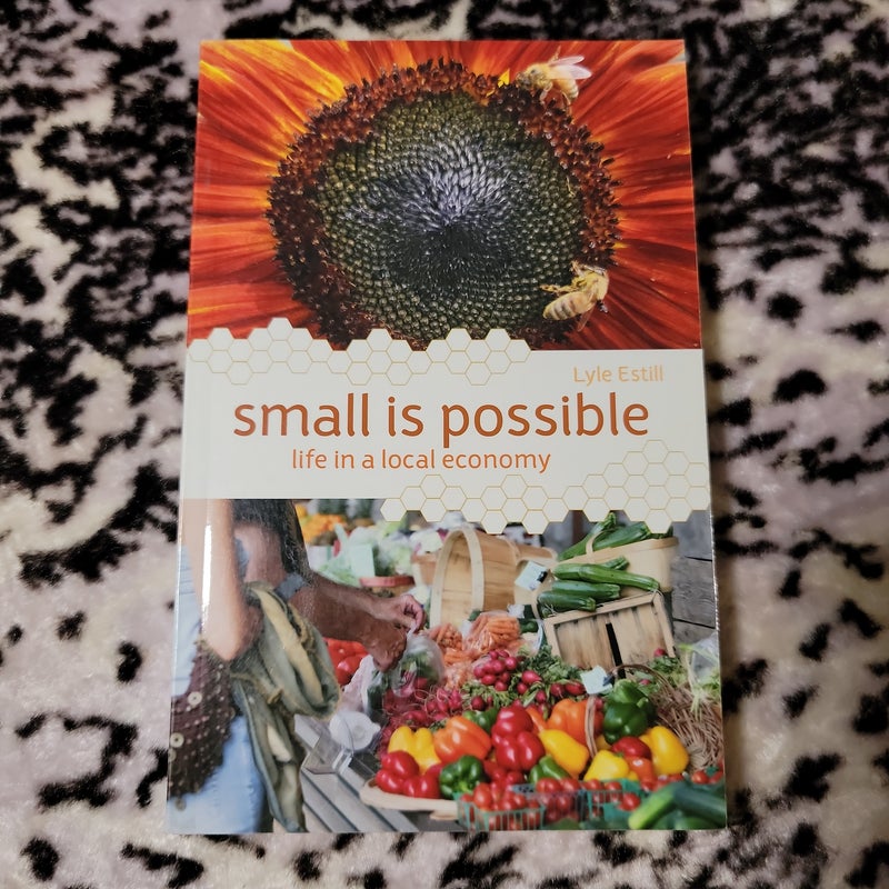 Small Is Possible by Lyle Estill