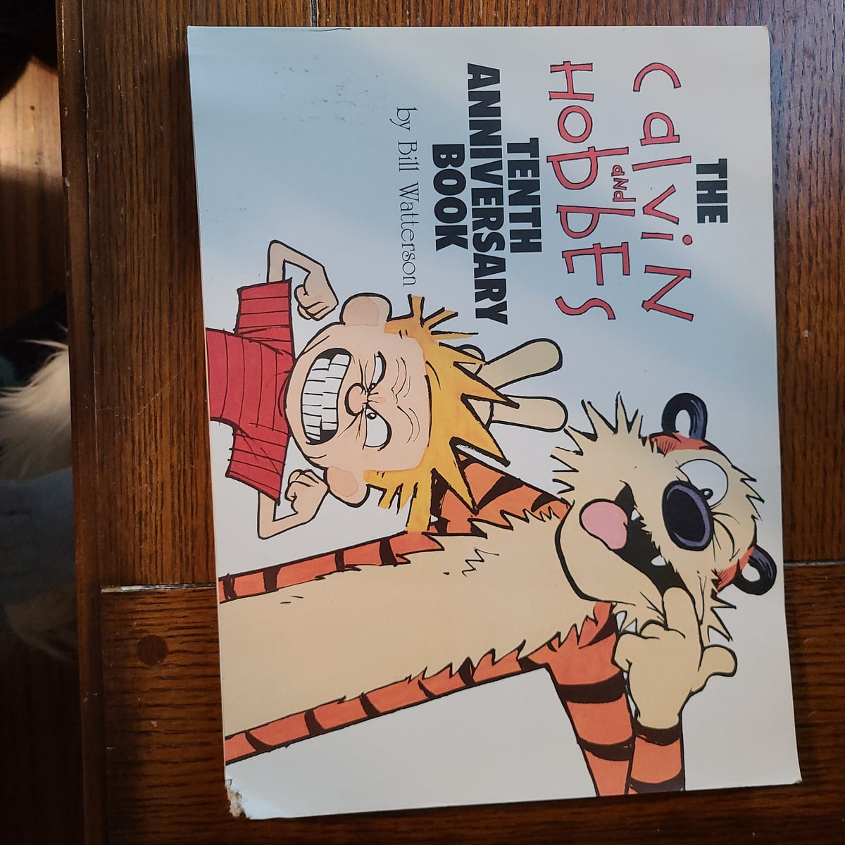 The Calvin and Hobbes Tenth Anniversary Book