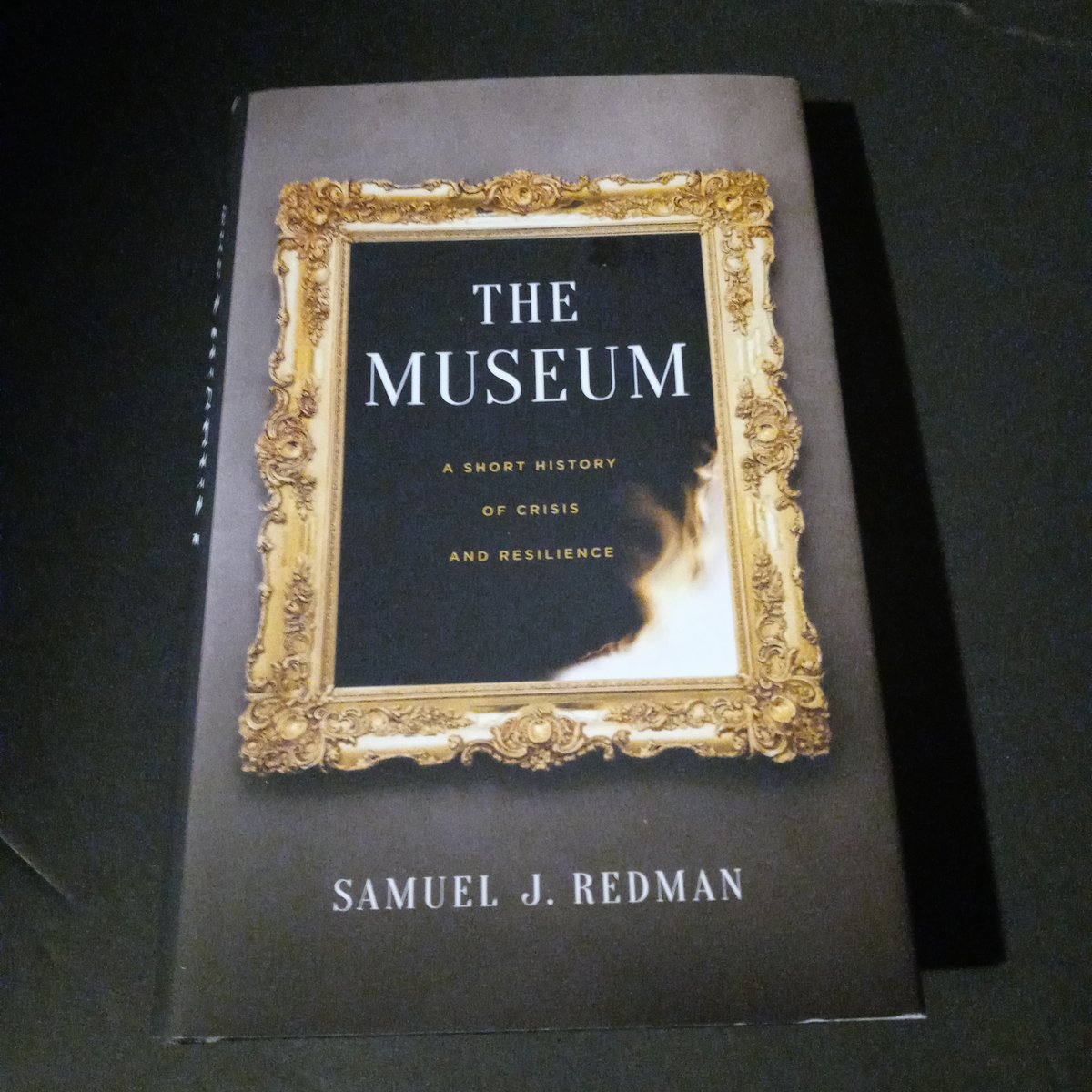The Museum by Samuel J. Redman