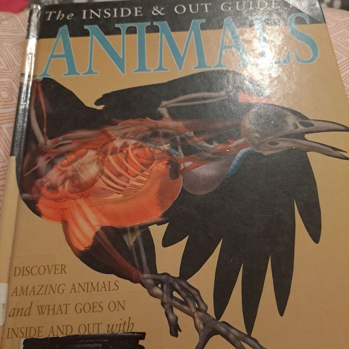 The Inside and Out Guide to Animals by Anita Ganeri