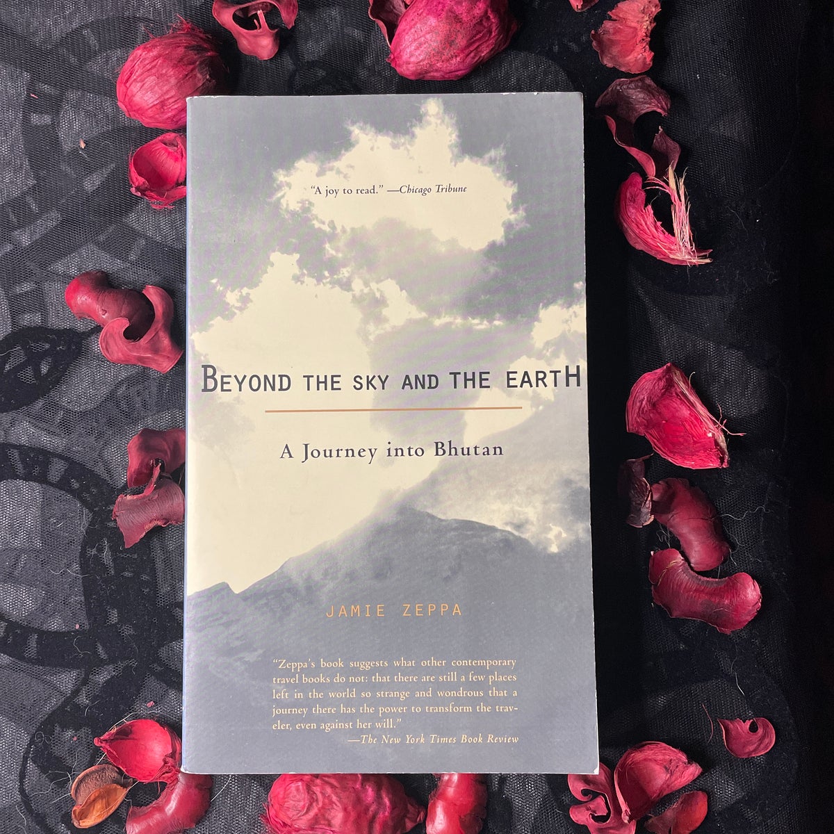 Beyond the Sky and the Earth by Jamie Zeppa, Paperback | Pango Books