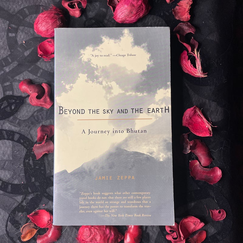 Beyond the Sky and the Earth by Jamie Zeppa, Paperback | Pango Books