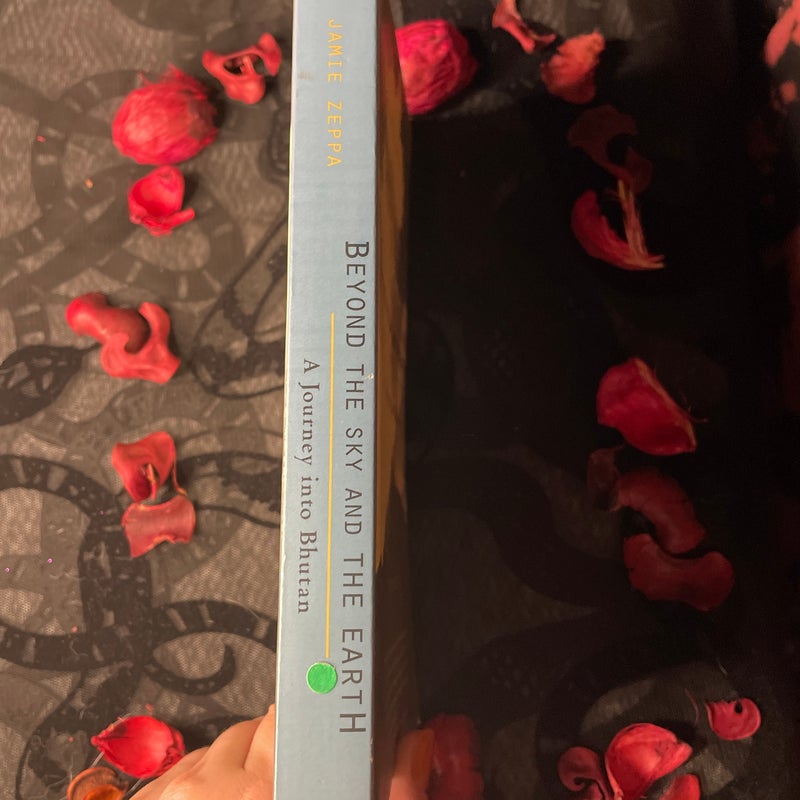 Beyond the Sky and the Earth by Jamie Zeppa, Paperback | Pango Books