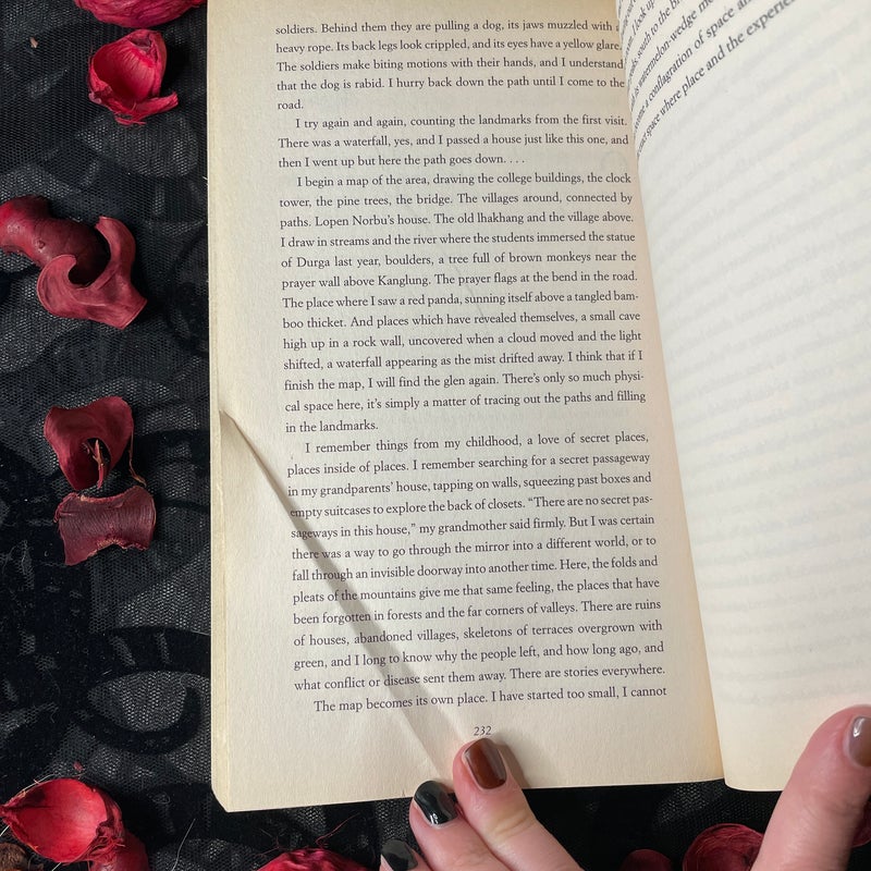 Beyond the Sky and the Earth by Jamie Zeppa, Paperback | Pango Books