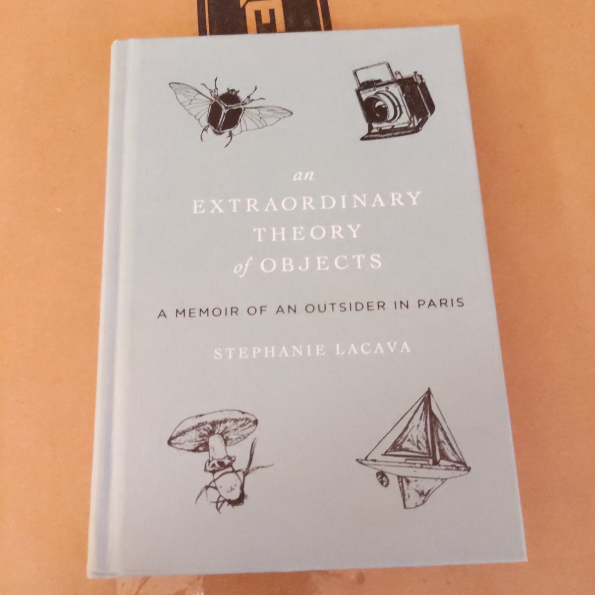 An Extraordinary Theory of Objects by Stephanie LaCava