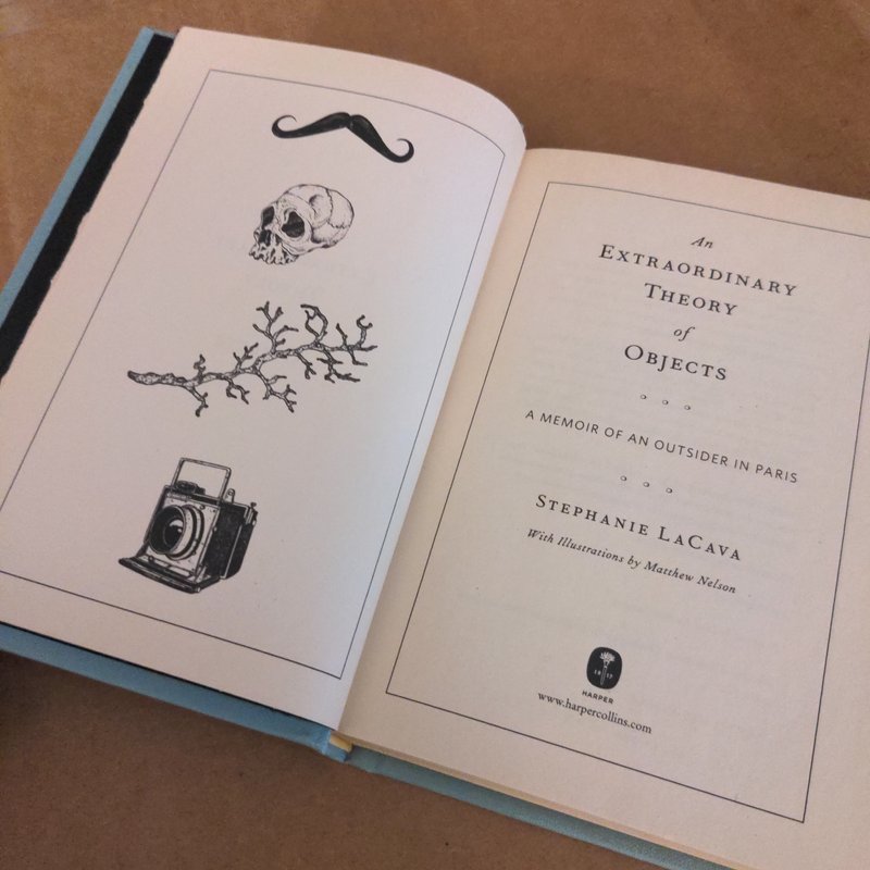 An Extraordinary Theory of Objects by Stephanie LaCava