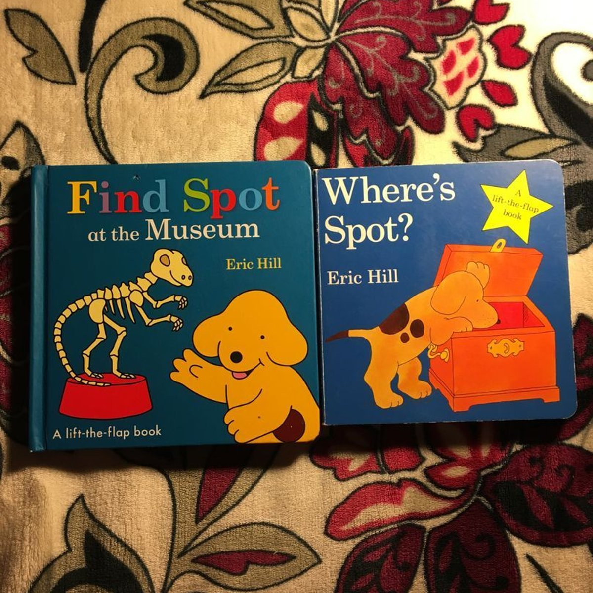 Find Spot at the Museum by Eric Hill