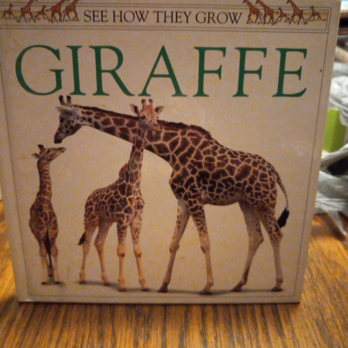 Giraffe by Mary Ling