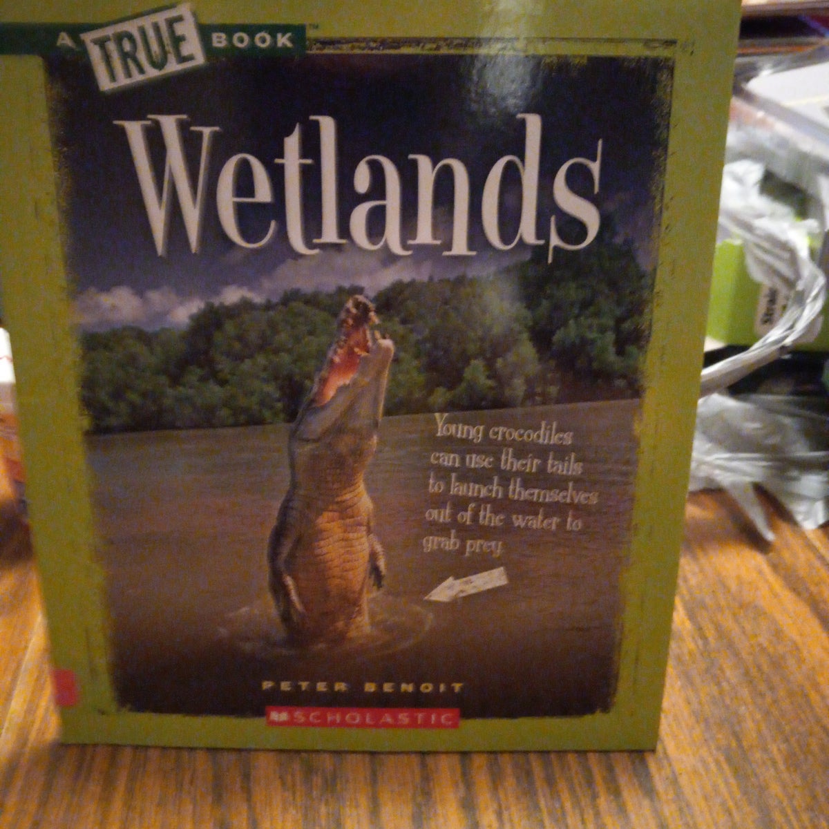 Wetlands by Peter Benoit