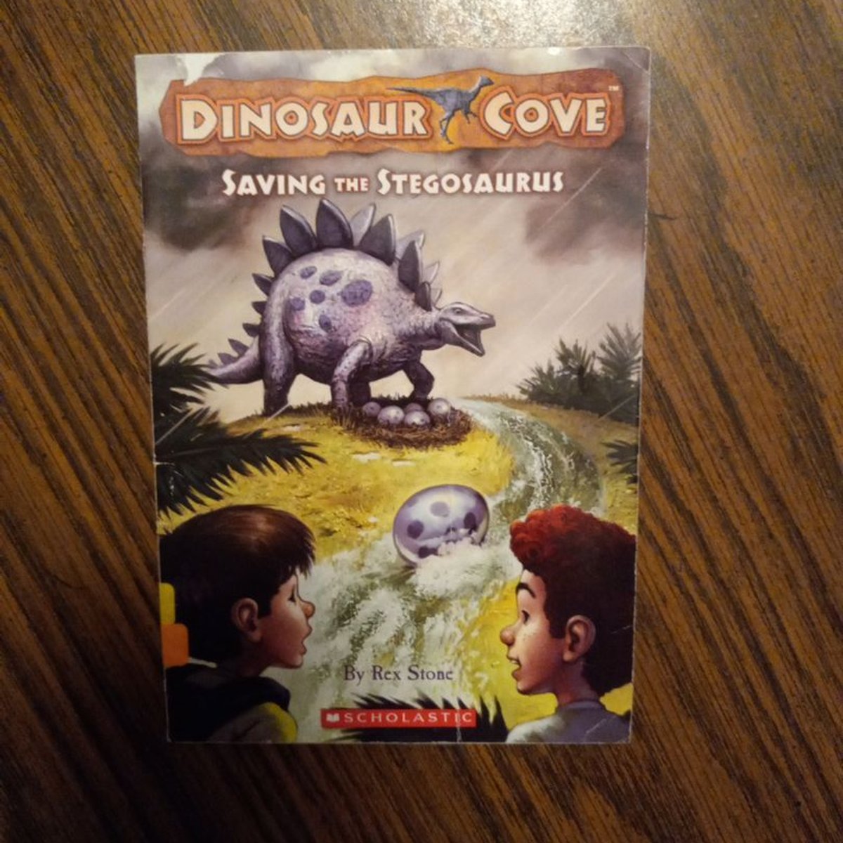 Saving the Stegosaurus by Rex Stone