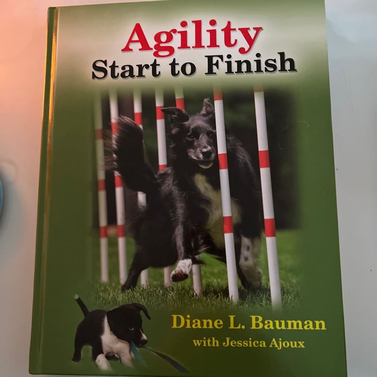 Agility by Diane Bauman, Jessica M. Ajoux