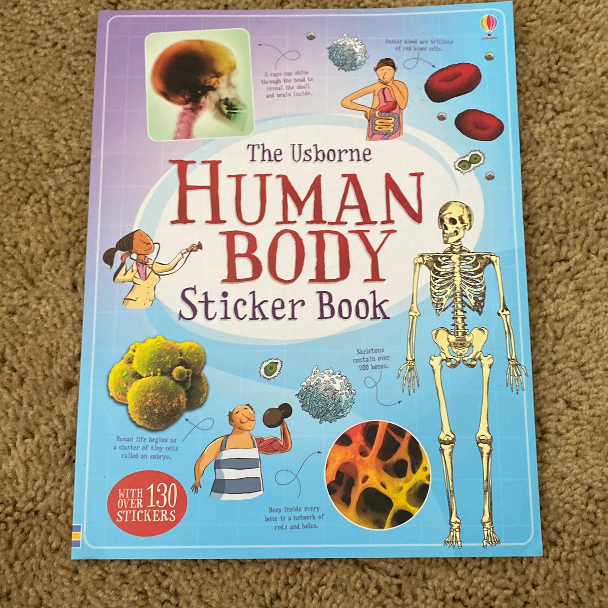 Human Body Sticker Book by Alex Frith