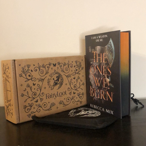 The Ones We Burn by Rebecca Mix, Hardcover | Pangobooks