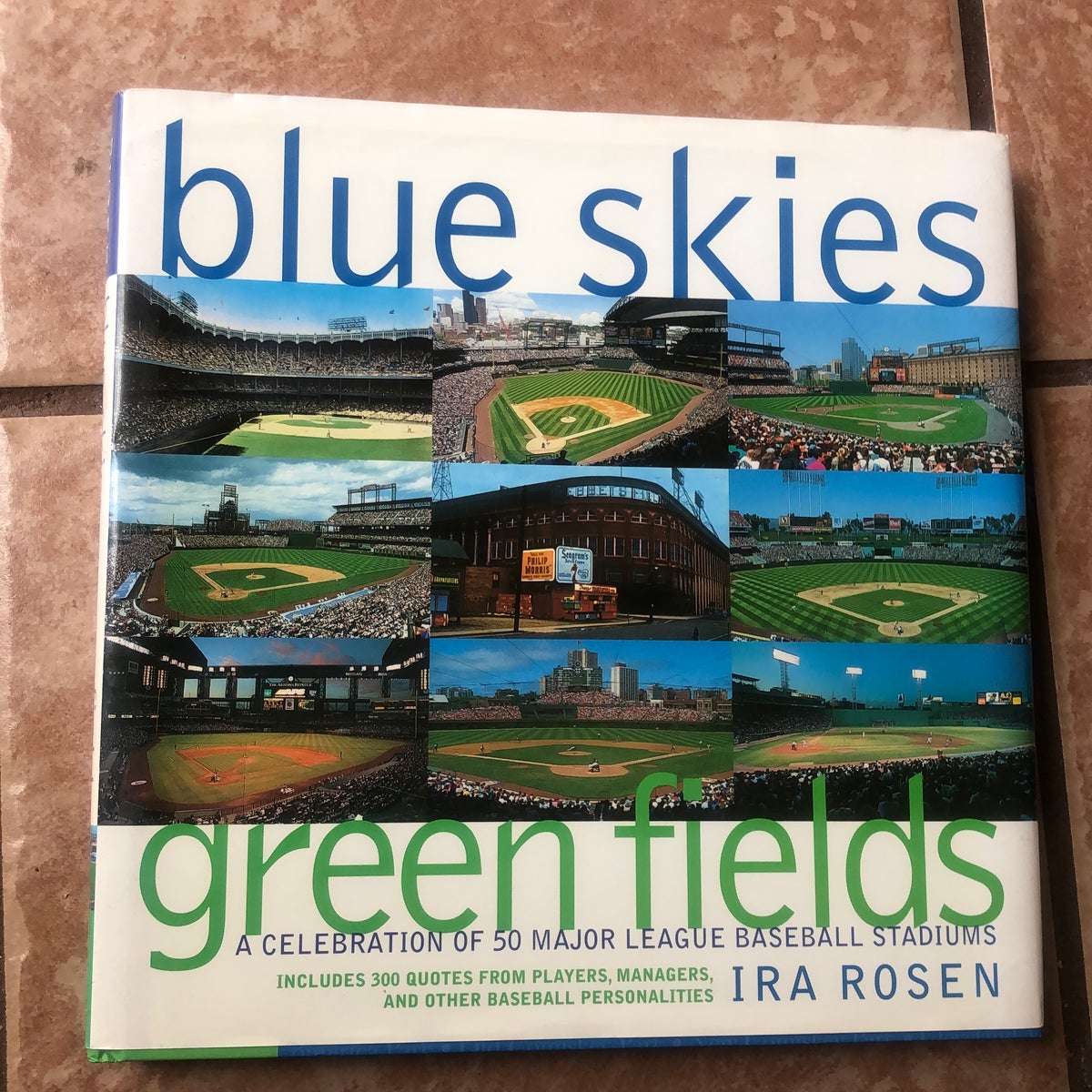 Blue Skies, Green Fields by Ira Rosen