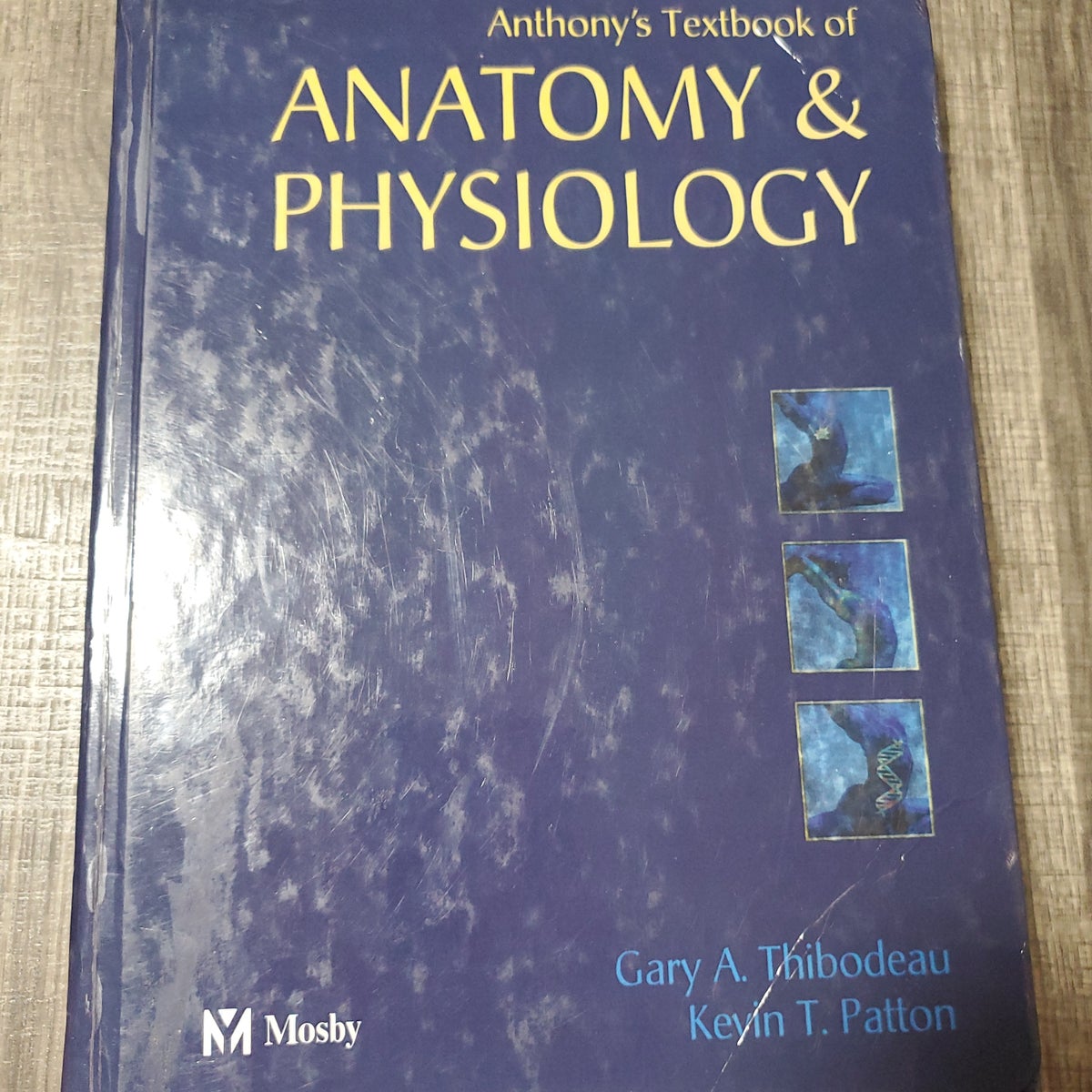 Anatomy and Physiology by Kevin T. Patton, Gary A. Thibodeau