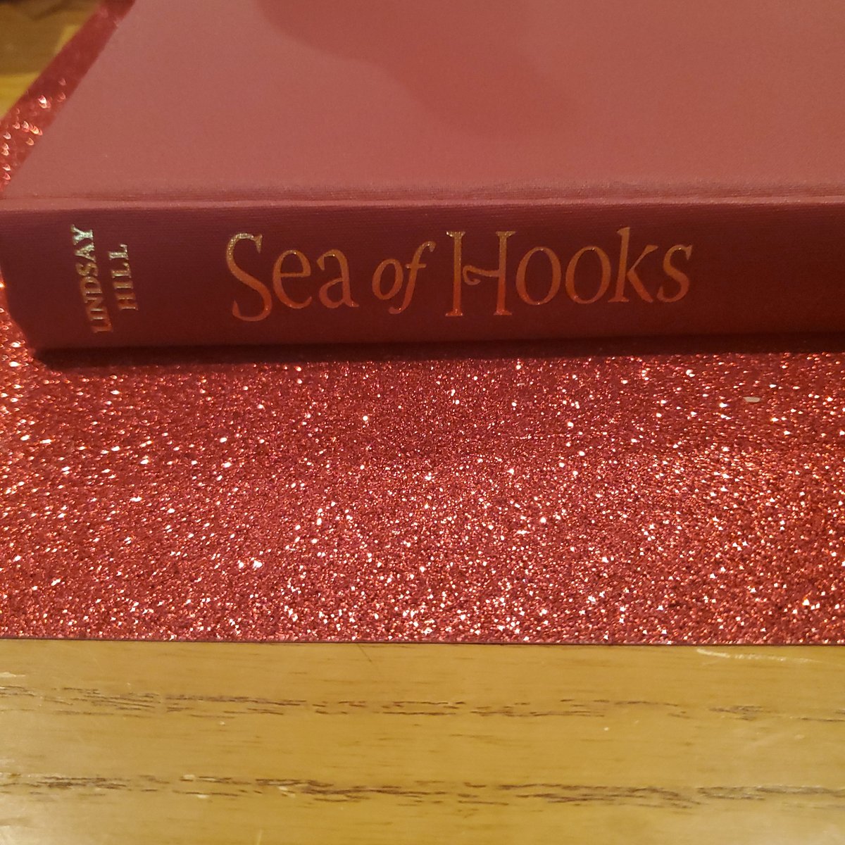 Sea of Hooks by Lindsay Hill