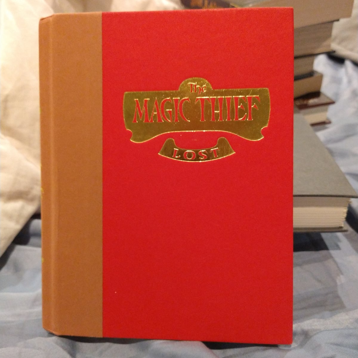 The Magic Thief: Lost