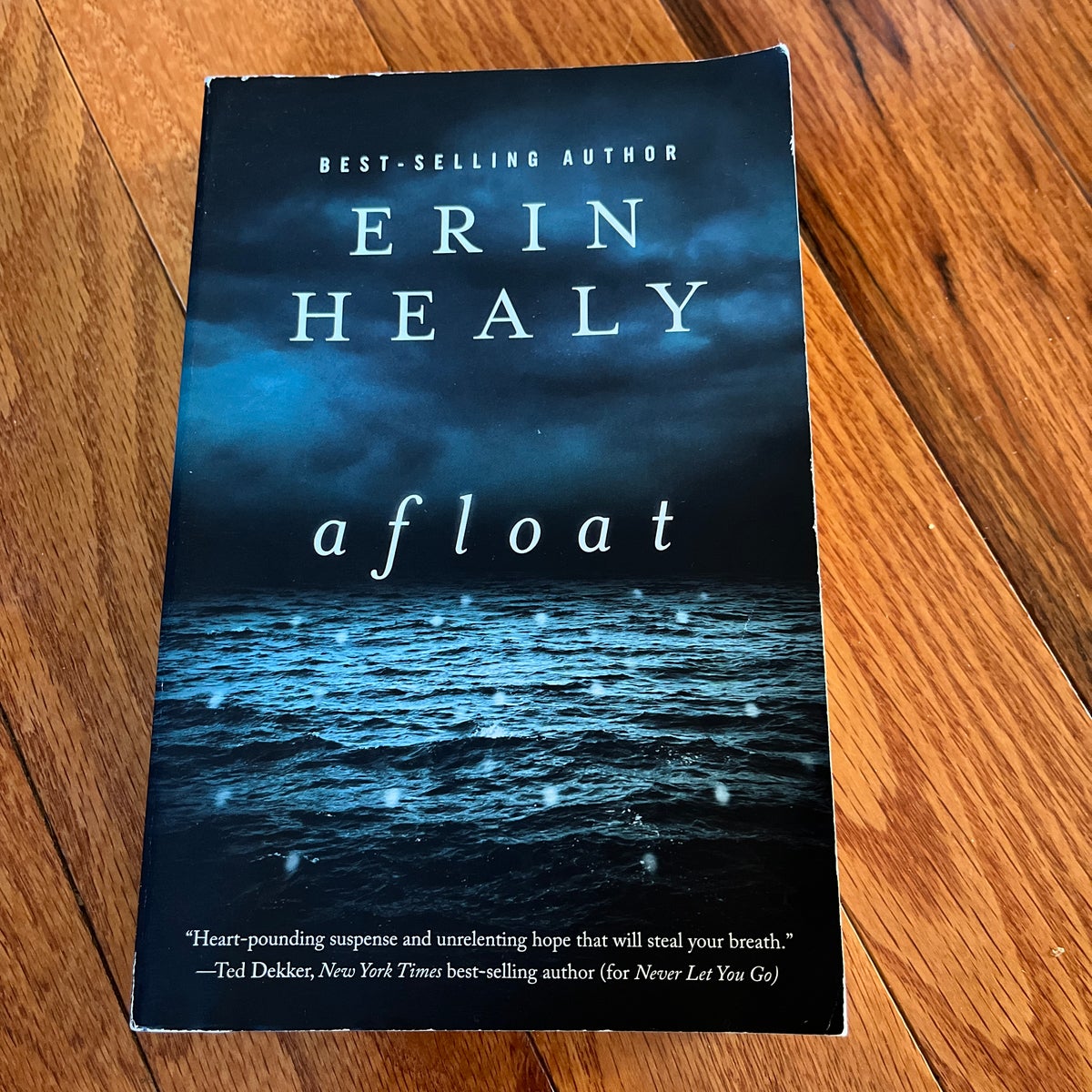 Afloat by Erin Healy