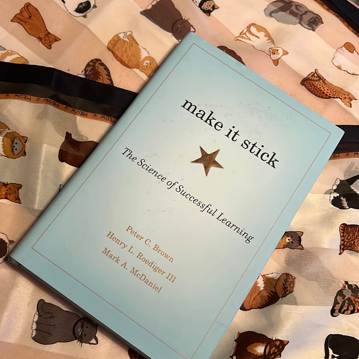 Make It Stick by Peter C. Brown, Henry L. Roediger, Mark A. McDaniel