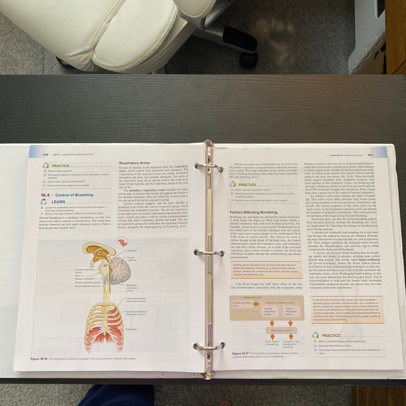 Loose Leaf for Holes Essentials Human Anatomy & Physiology by David N ...