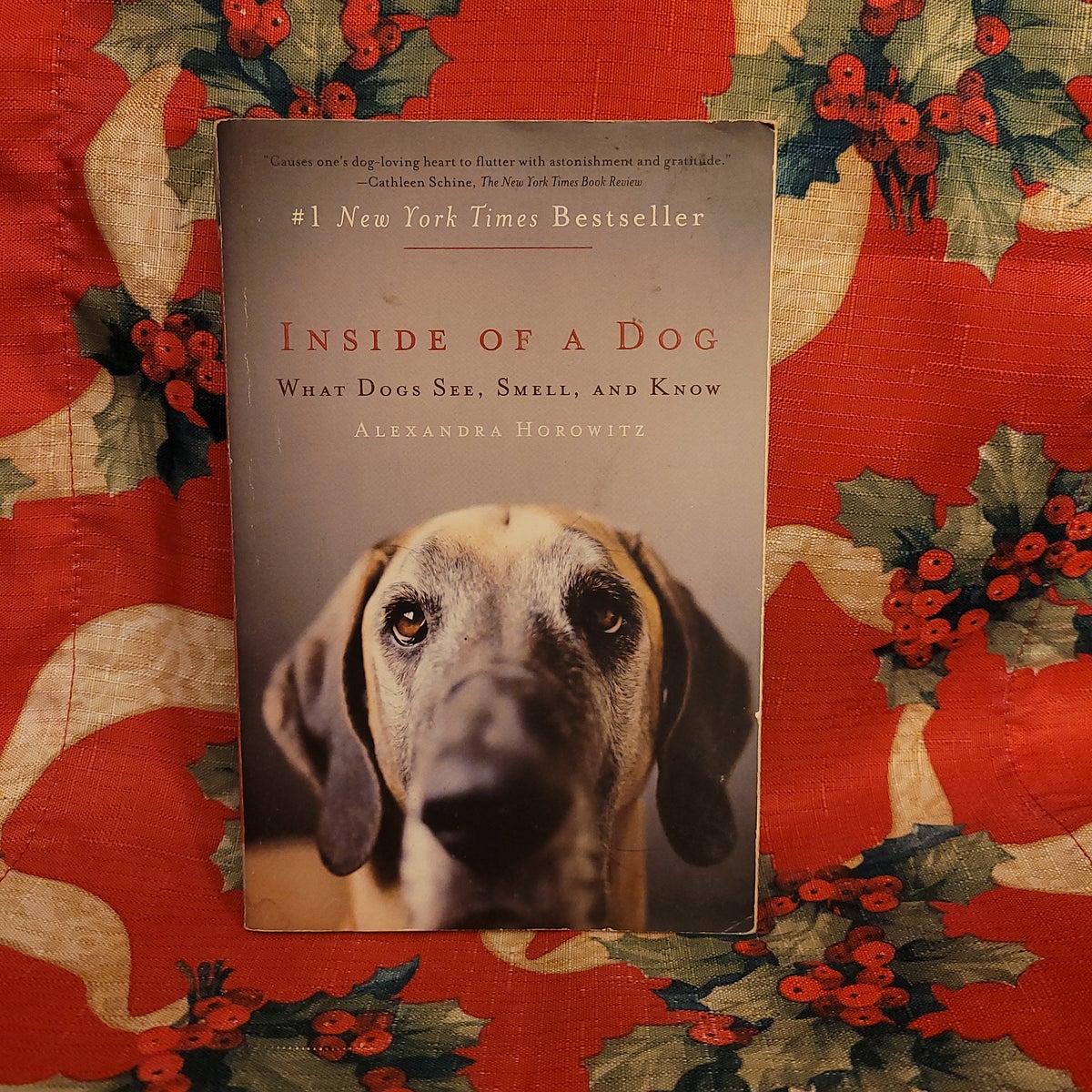 Inside of a Dog by Alexandra Horowitz