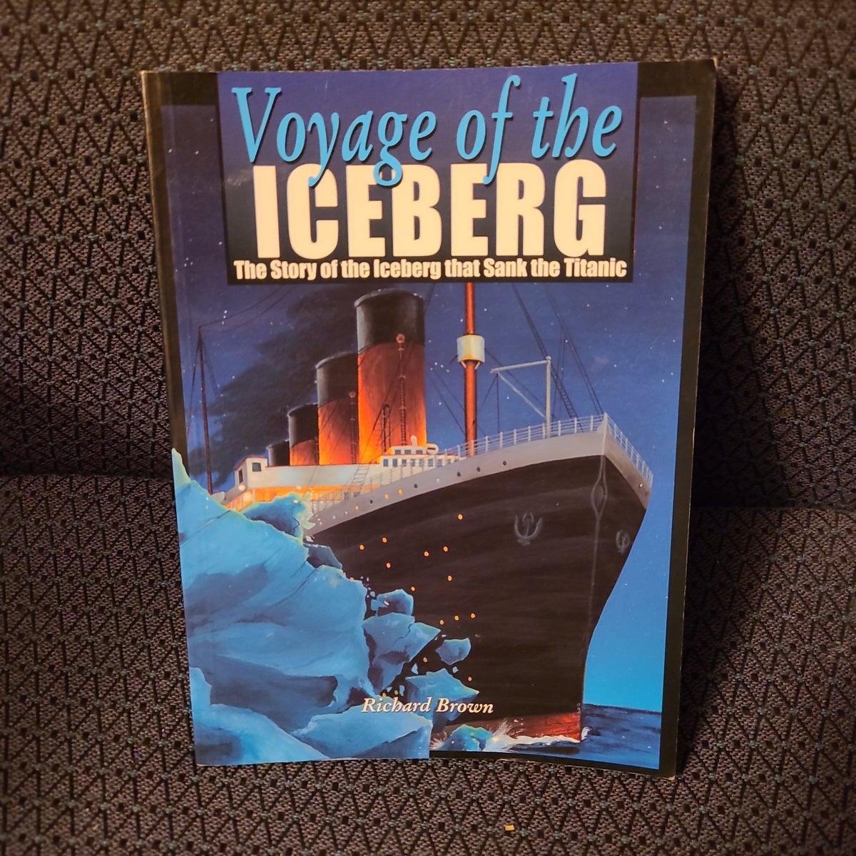 Voyage of the Iceberg by Richard Brown, Paperback | Pangobooks