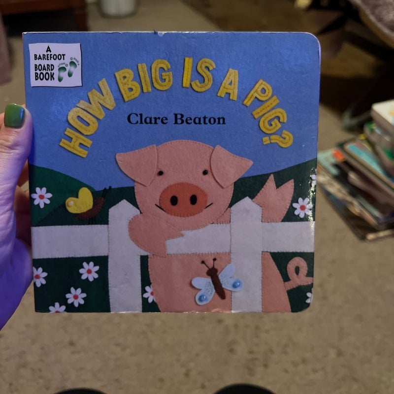 How Big Is a Pig? by Stella Blackstone
