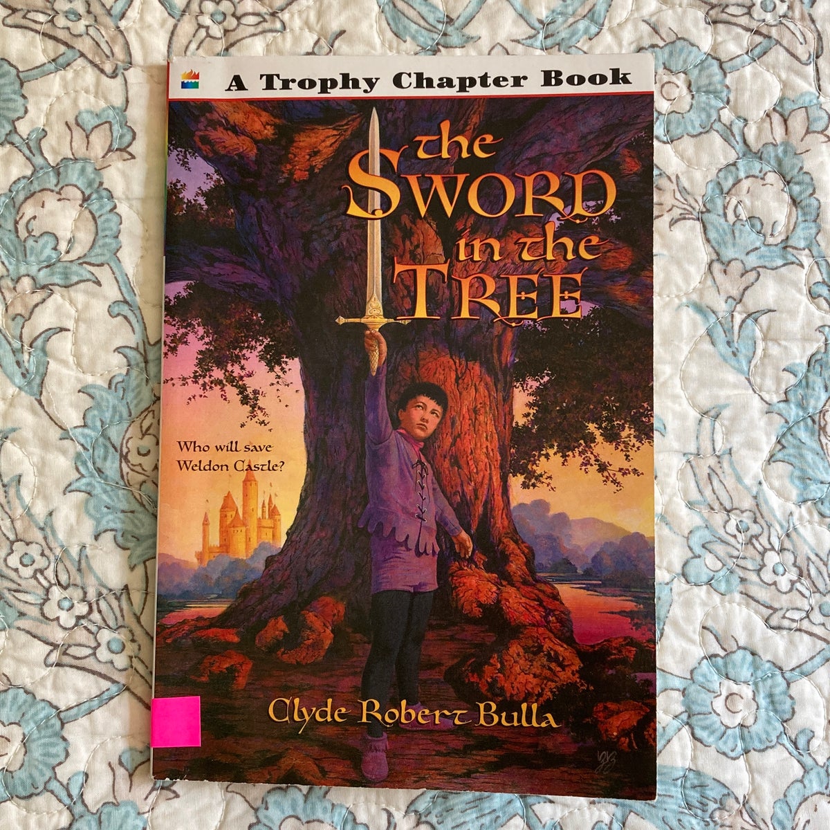 The Sword in the Tree by Clyde Robert Bulla