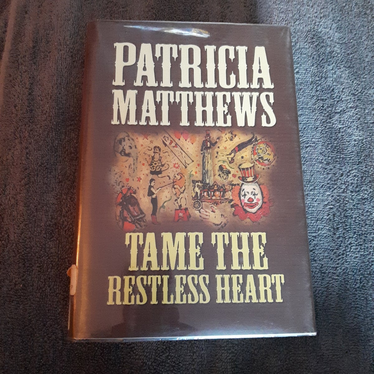 Tame the Restless Heart by Patricia Matthews