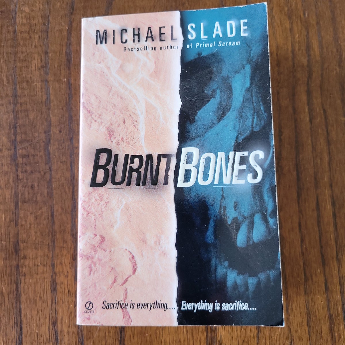 Burnt Bones by Michael Slade, Paperback | Pangobooks