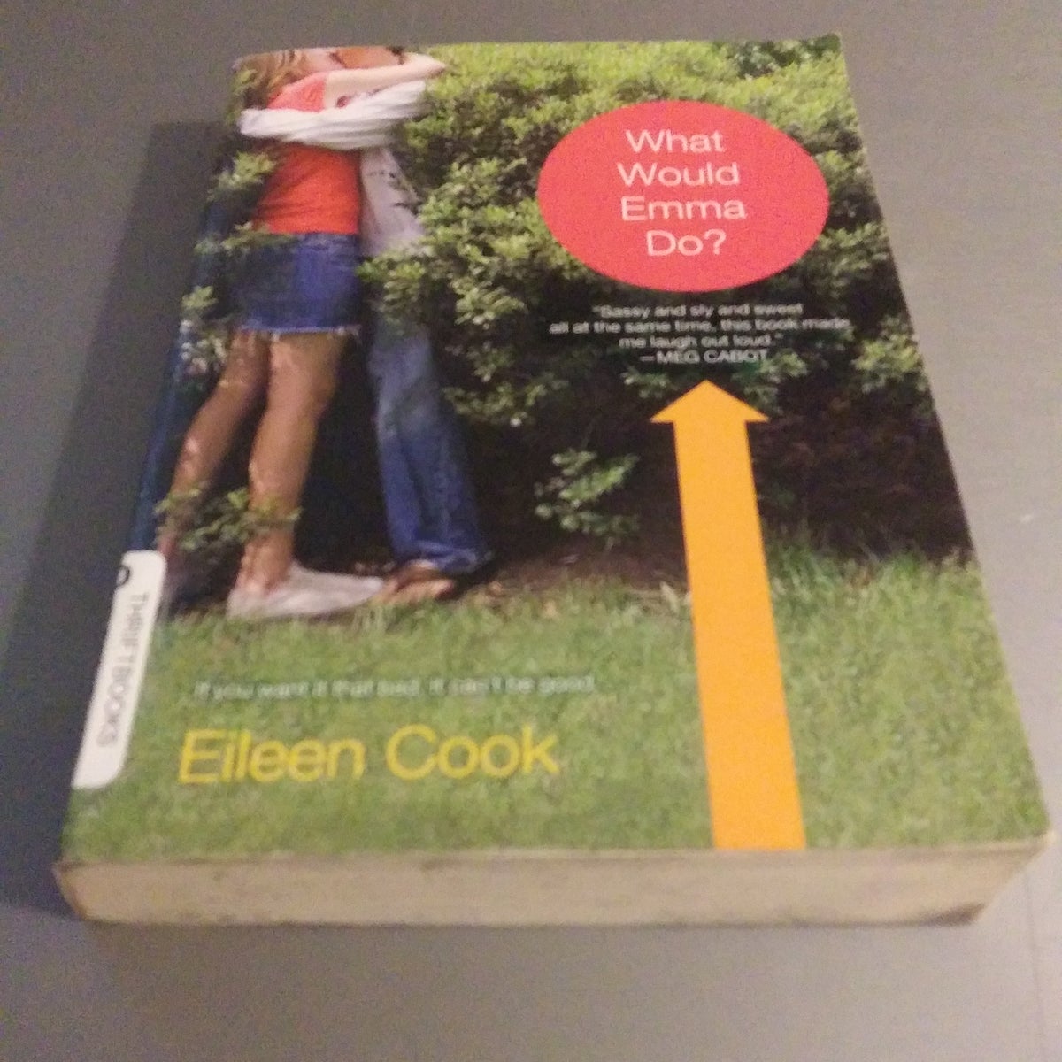 What Would Emma Do? by Eileen Cook