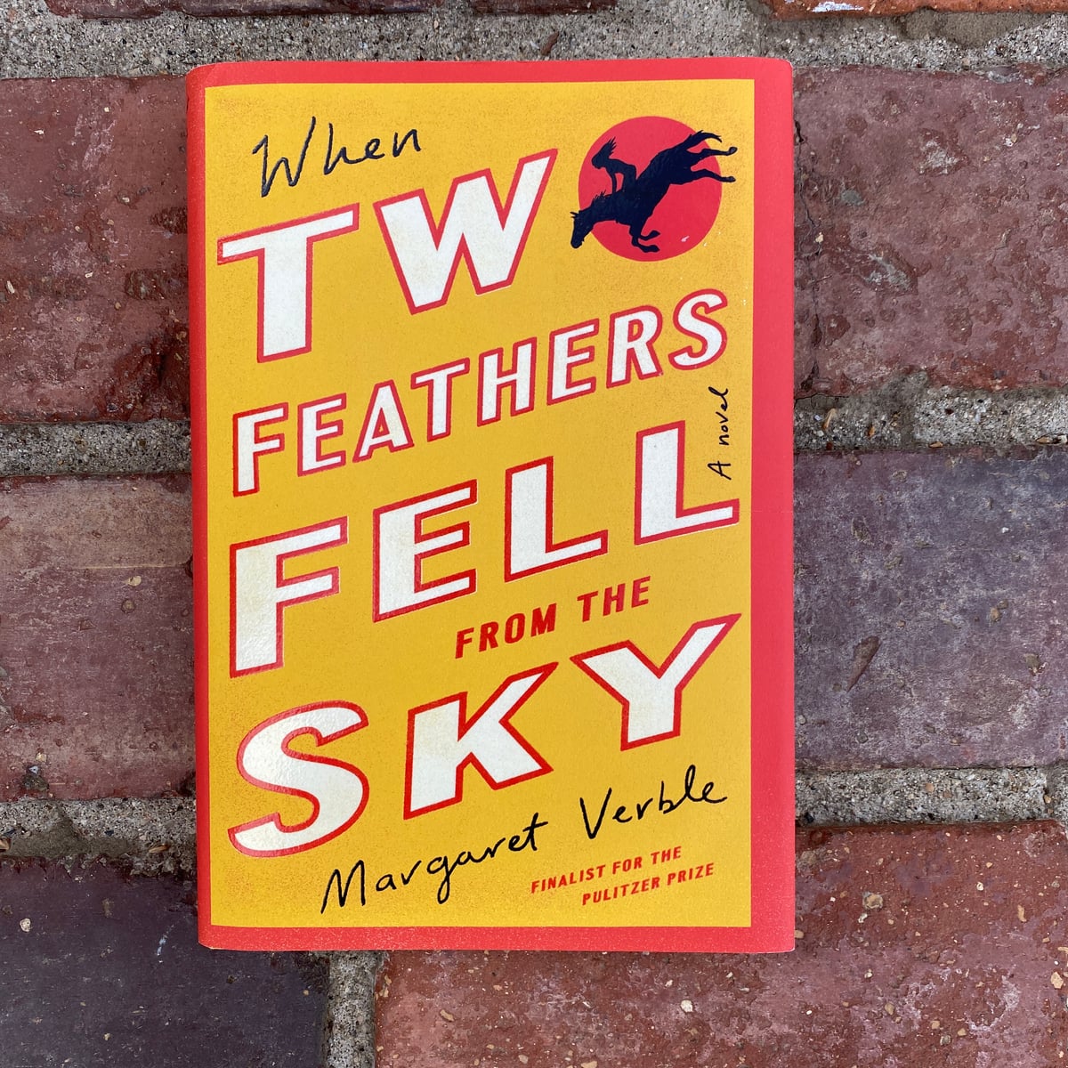 When Two Feathers Fell from the Sky