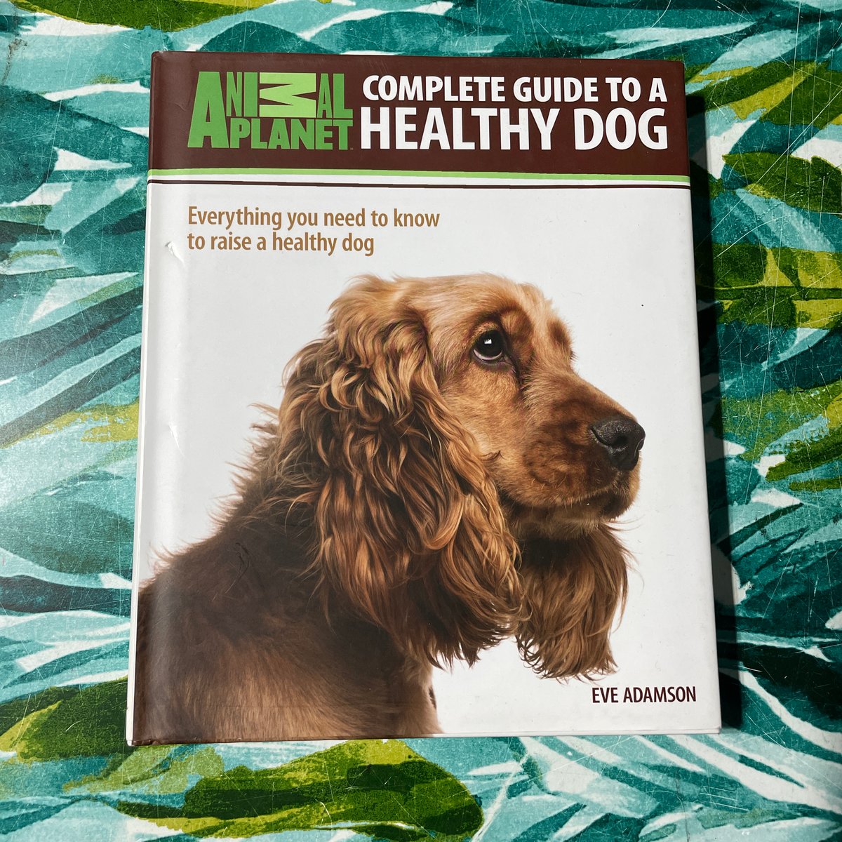Complete Guide to a Healthy Dog by Eve Adamson